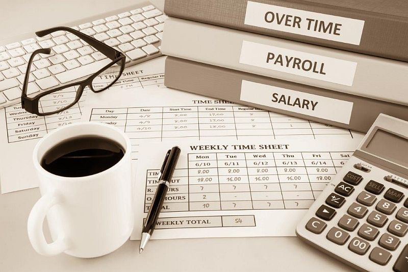 TSC Online Payslip User Guide TSC Online Payslip User Guide